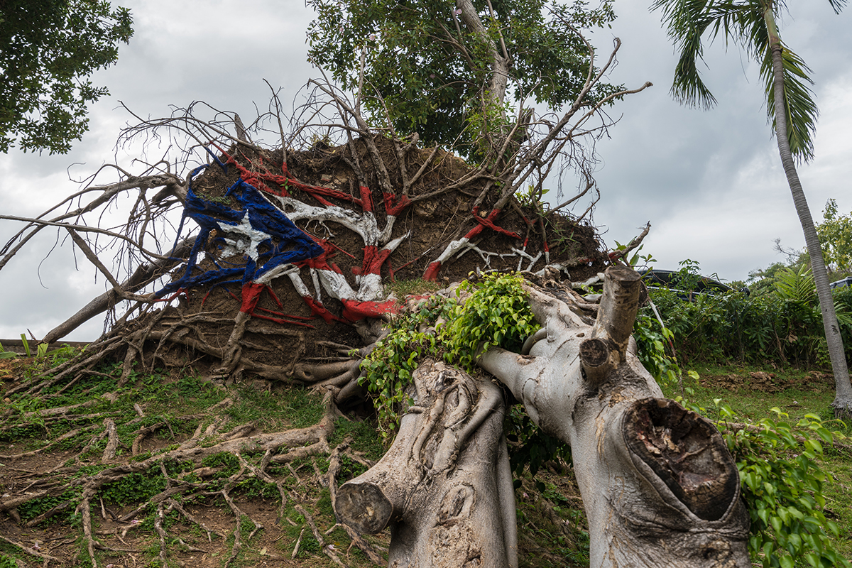Governmental Distrust and the Challenge of Building Resilience in ...